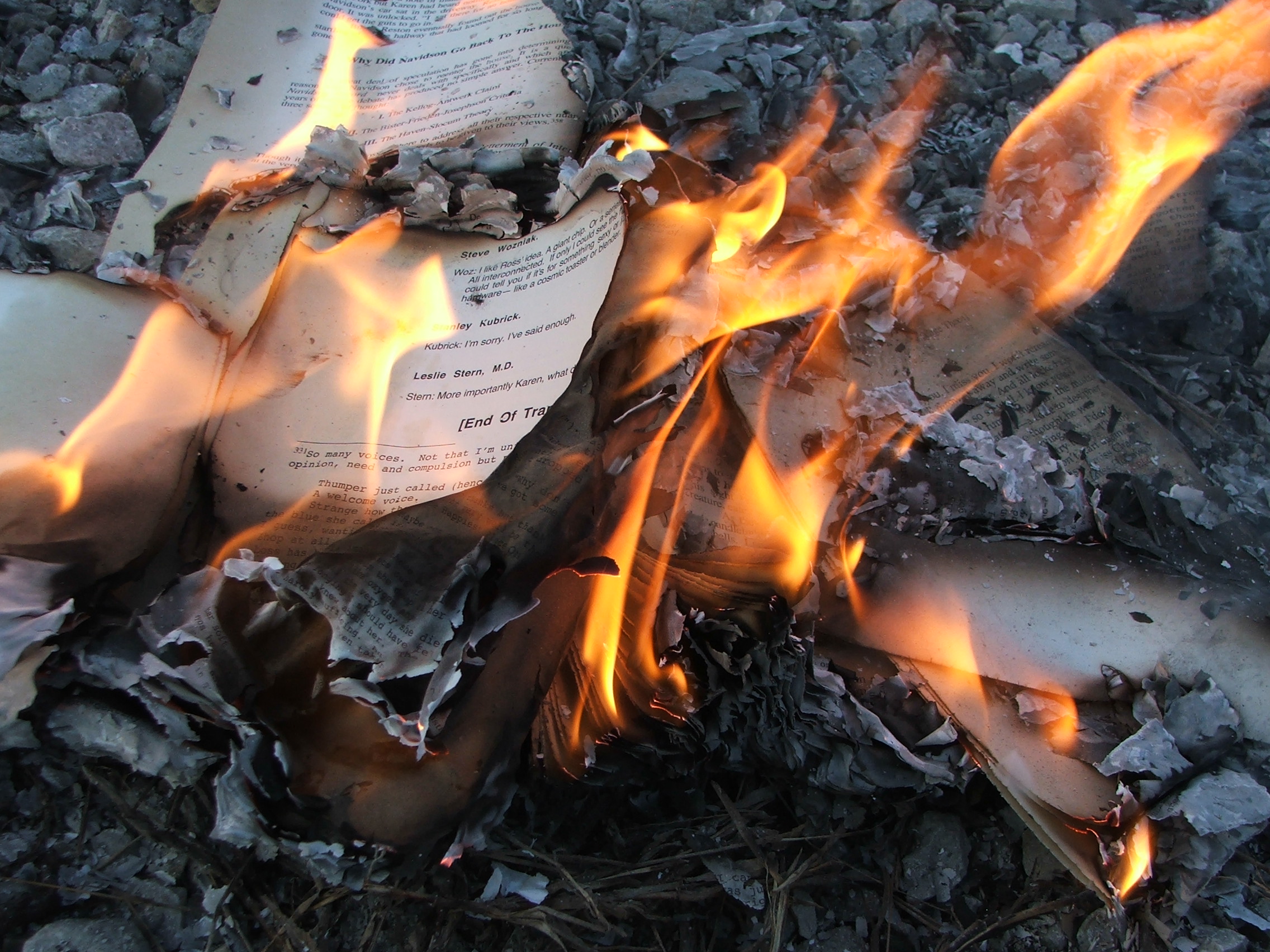 The fate of the Aeneid: A burning question - Kosmos Society