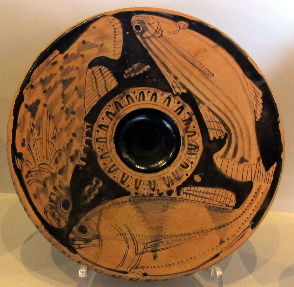 What is fish about? - Kosmos Society