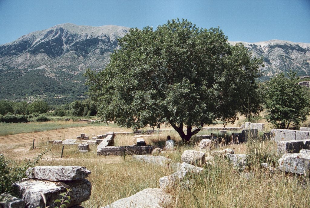Trees and wood | Part 1: Homer and Hesiod - Kosmos Society